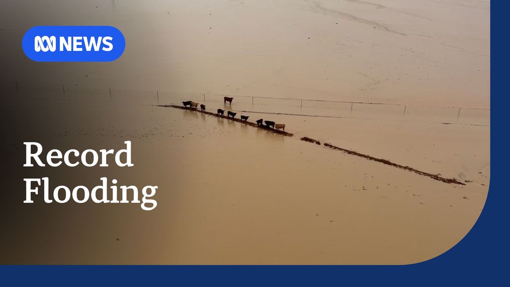 Over 140,000 head of livestock feared lost in Queensland outback floods ...