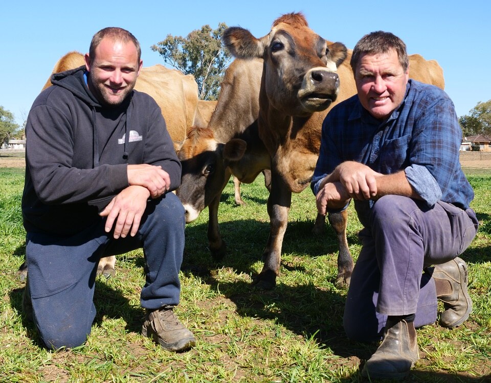 Dairy industry kept alive for future generations by determined families ...