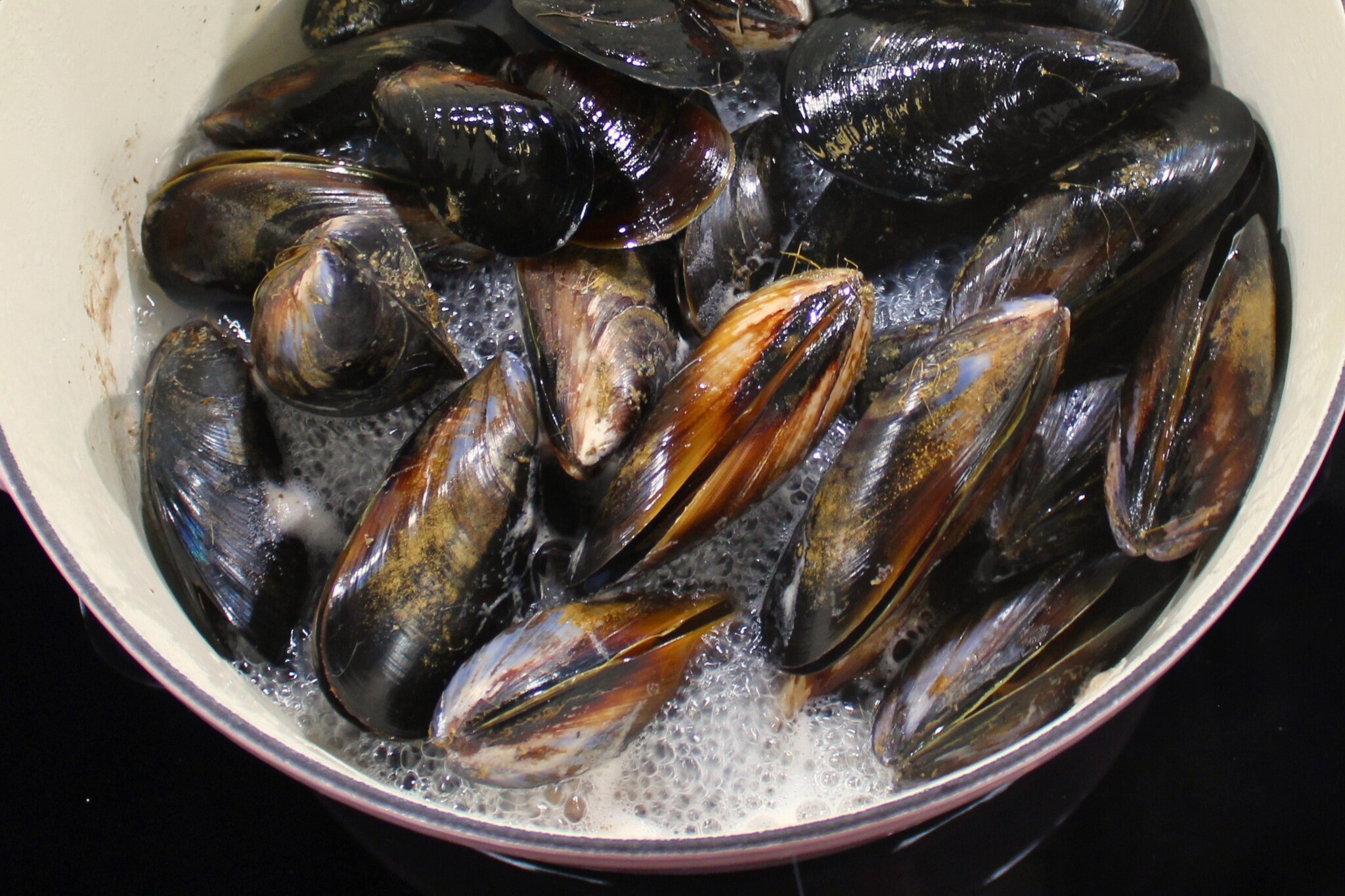 Briny and creamy mussel chowder - ABC News