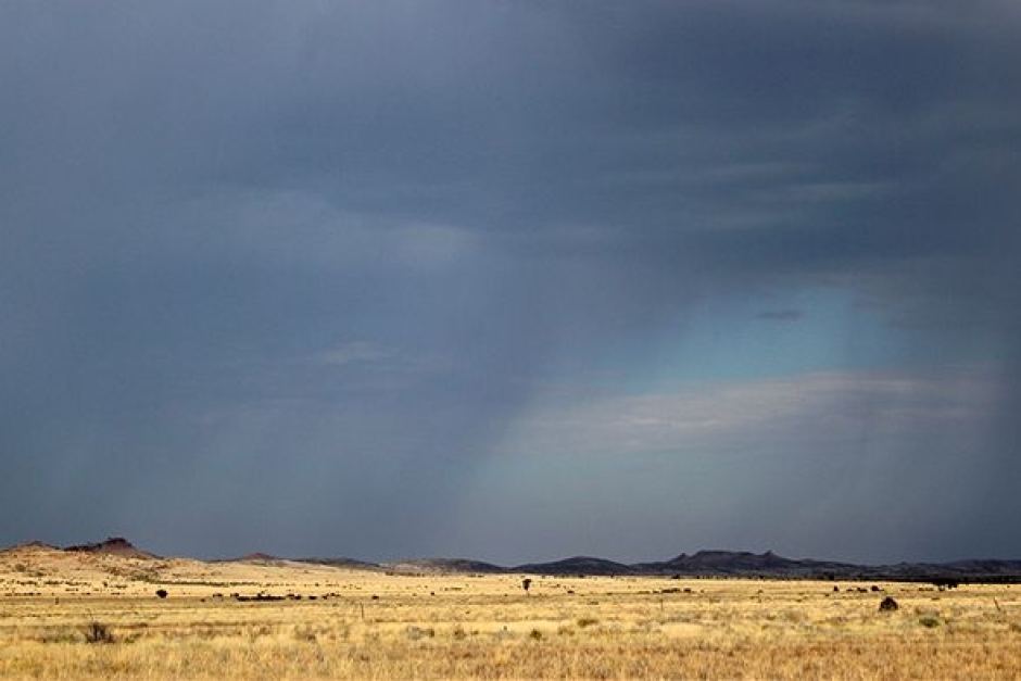 Cyclone brings rain to Top End cattle country - ABC News