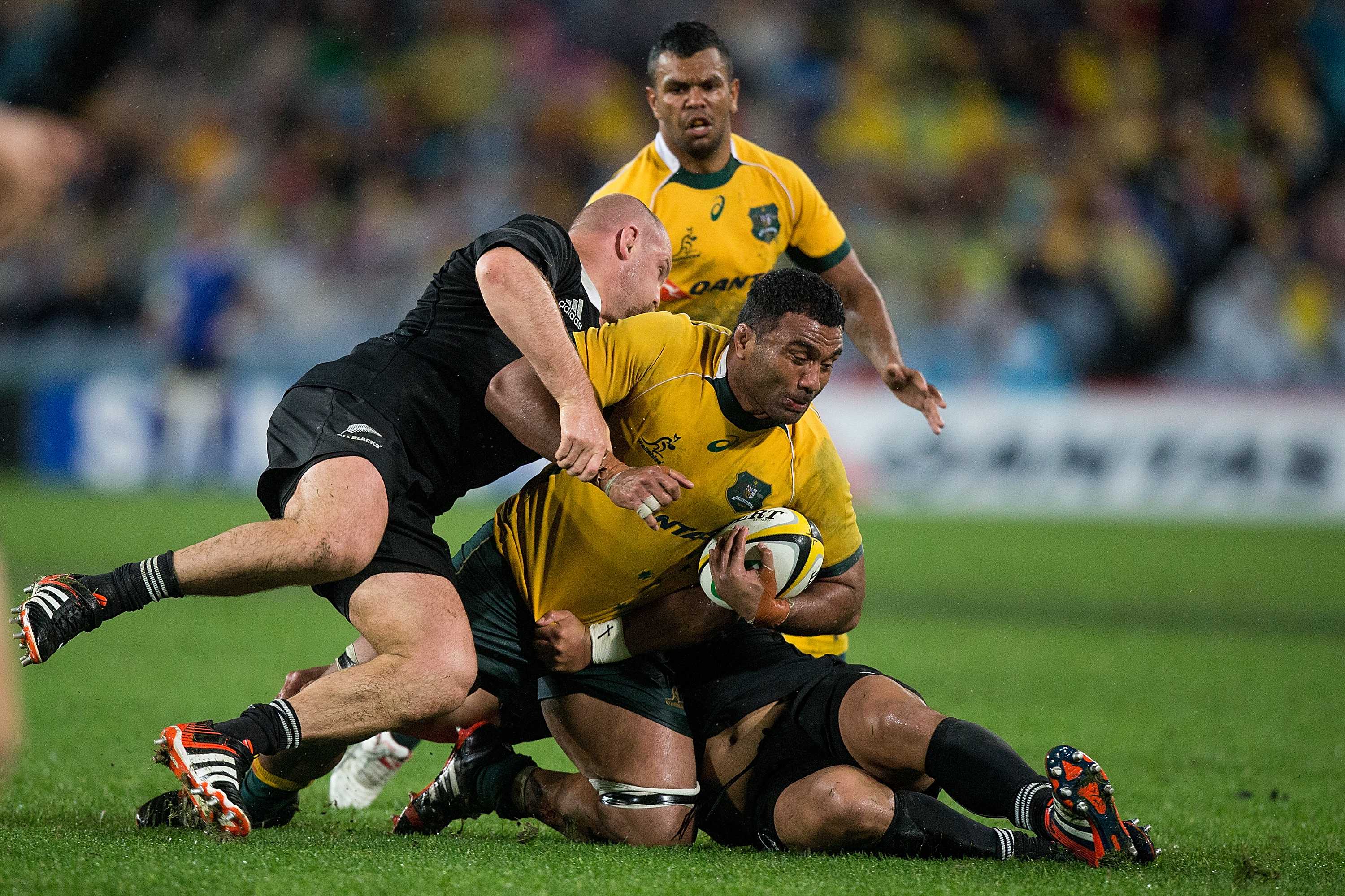 Wycliff Palu ruled out of Wallabies' trip to South Africa and Argentina ...