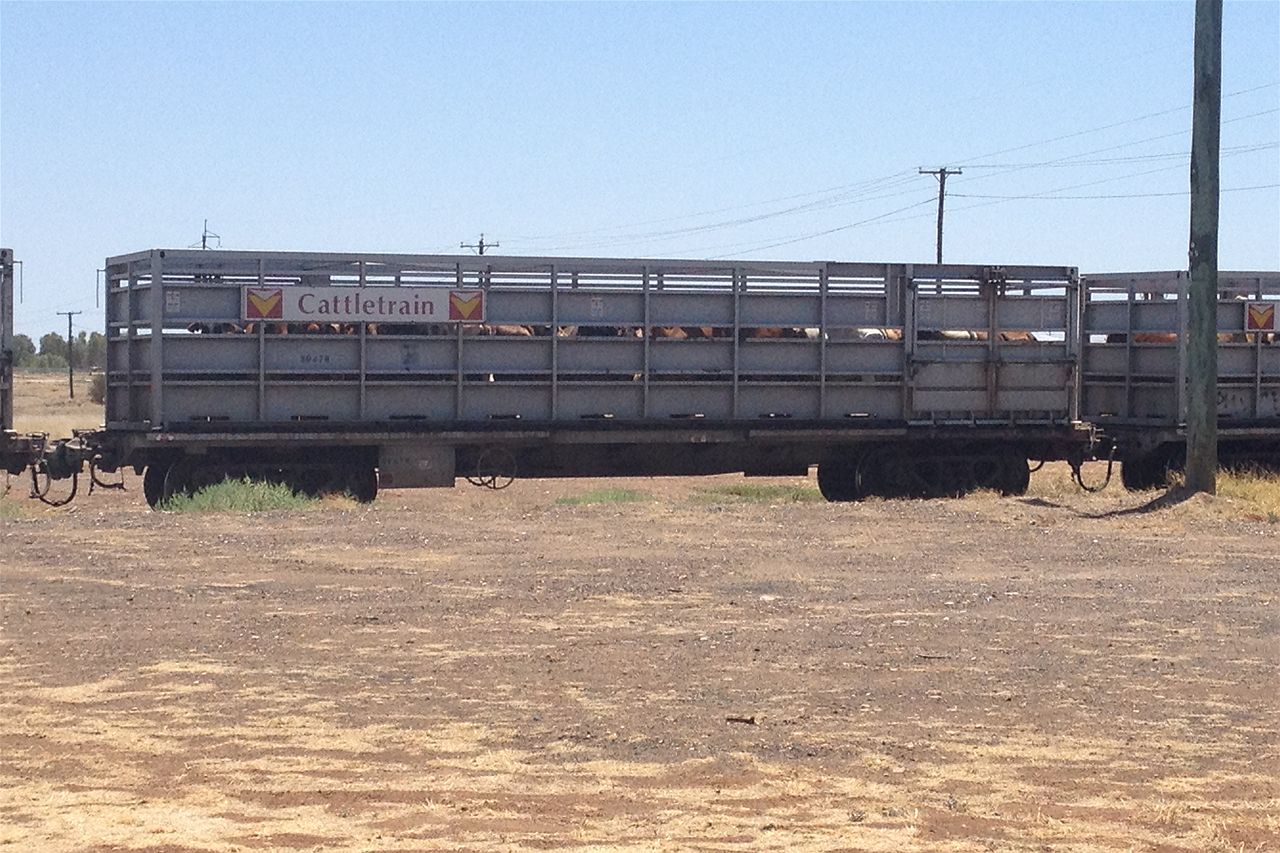 Rail on the move at Winton - ABC News