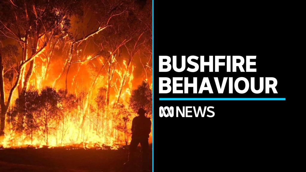 New research finds cold fronts drastically affect bushfires - ABC News