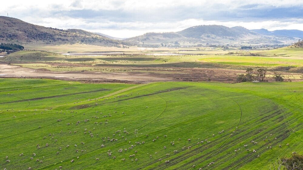 The rise of Agritourism in Tasmania - ABC listen