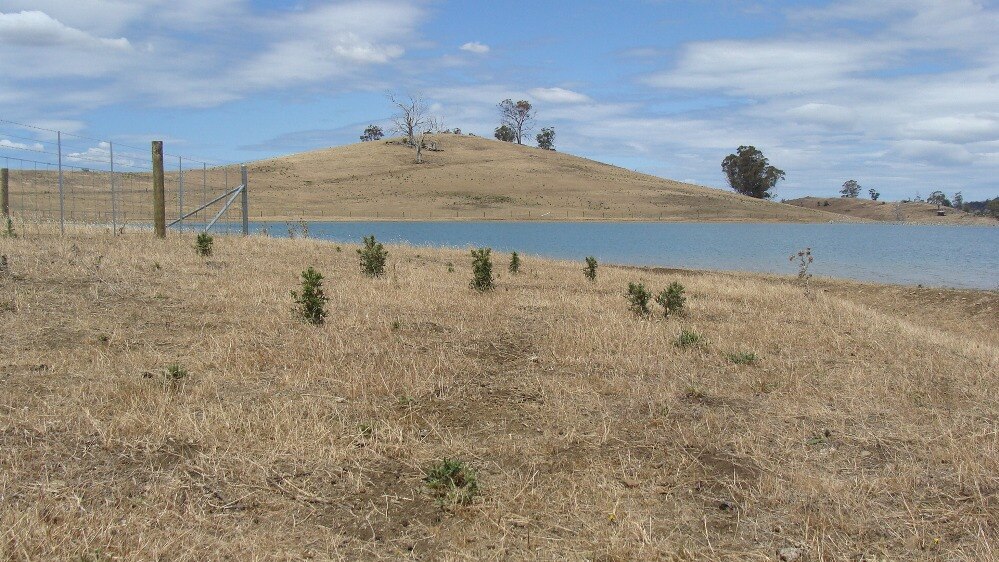 Tasmania's newest irrigation scheme launched in time for summer as the ...