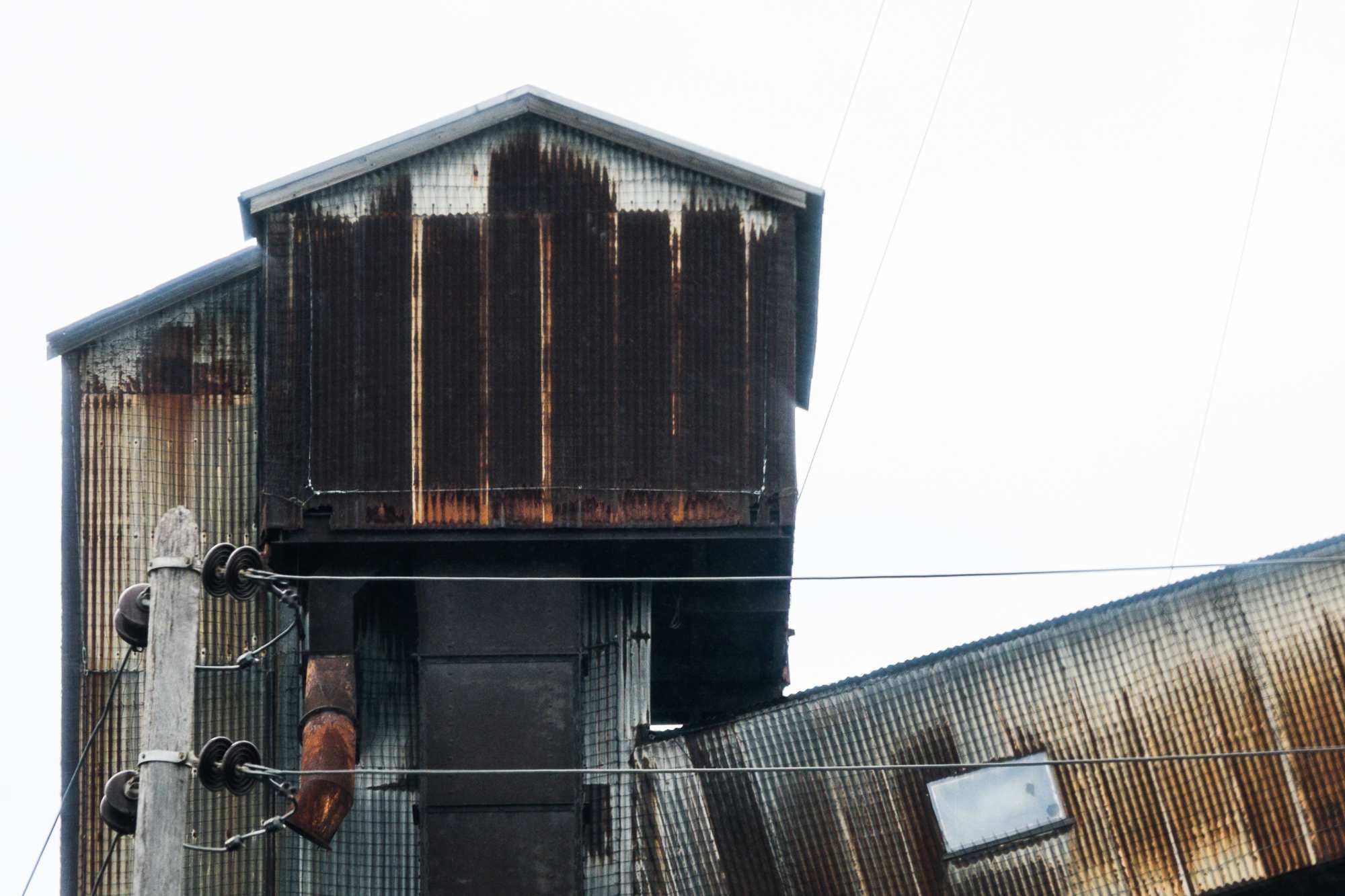 Balmain: the changing face of a vibrant electorate - ABC News