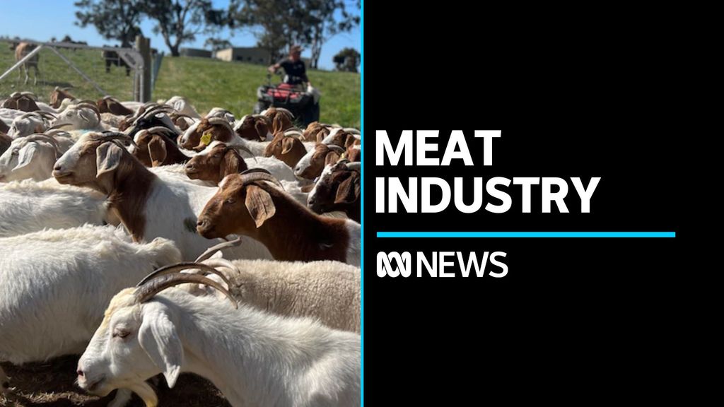 Meat industry in danger as Victorian processors ban limit kills - ABC News