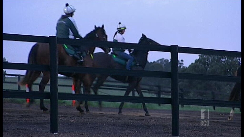 Racing empire takes shape in Euroa - ABC News