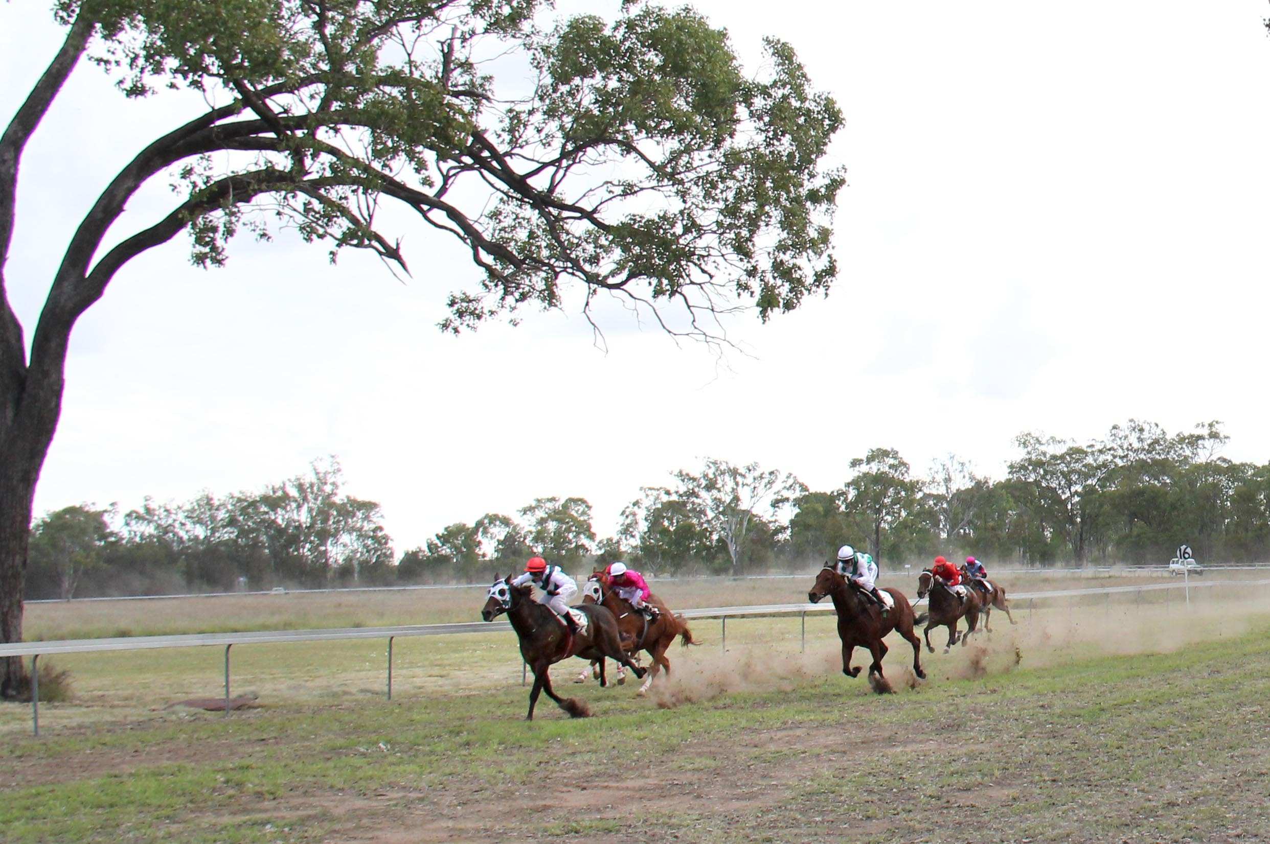 Class action over impacts of horse flu on racing industry moves to ...