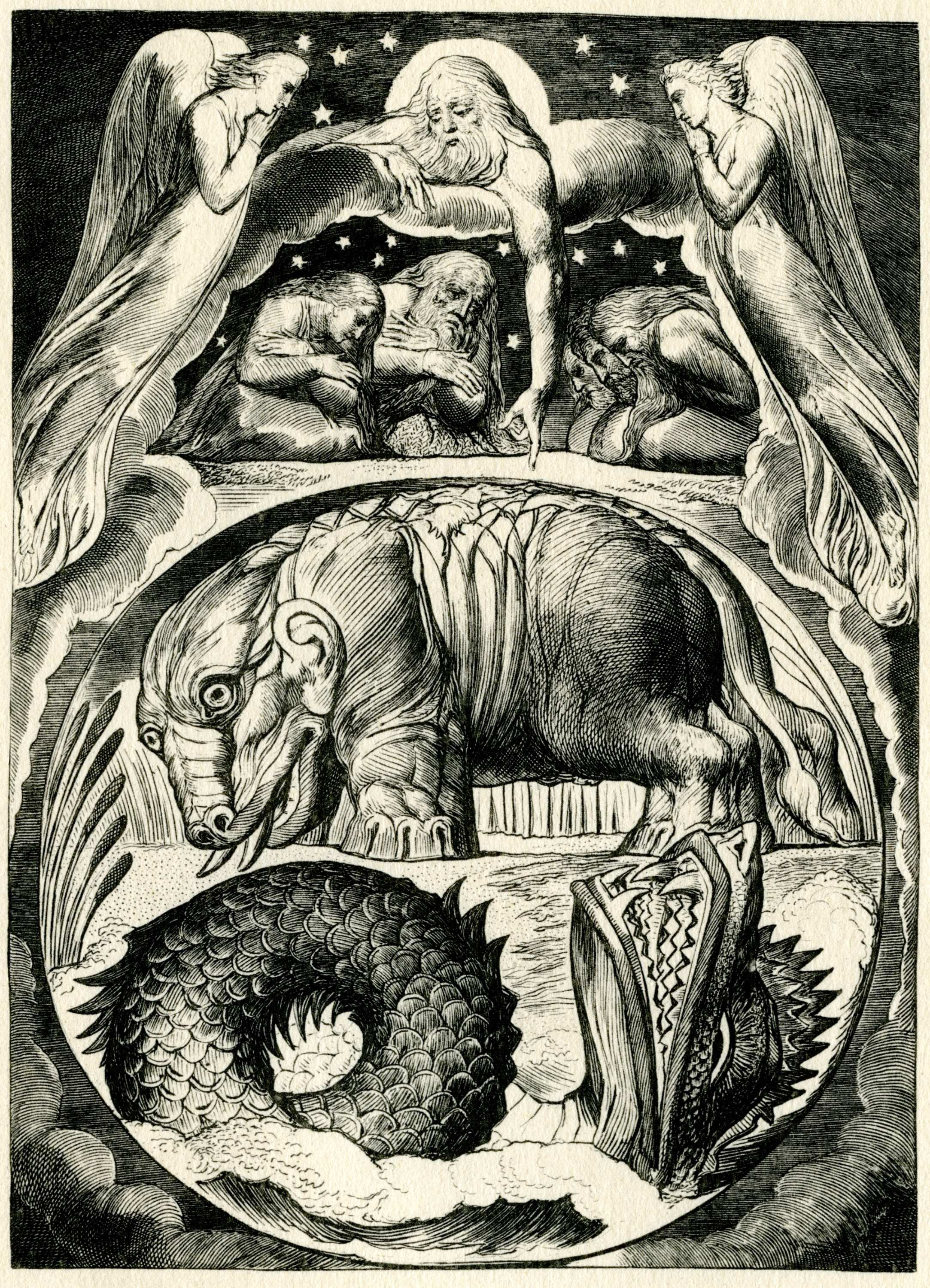 The rationality of the world: A philosophical reading of the Book of ...