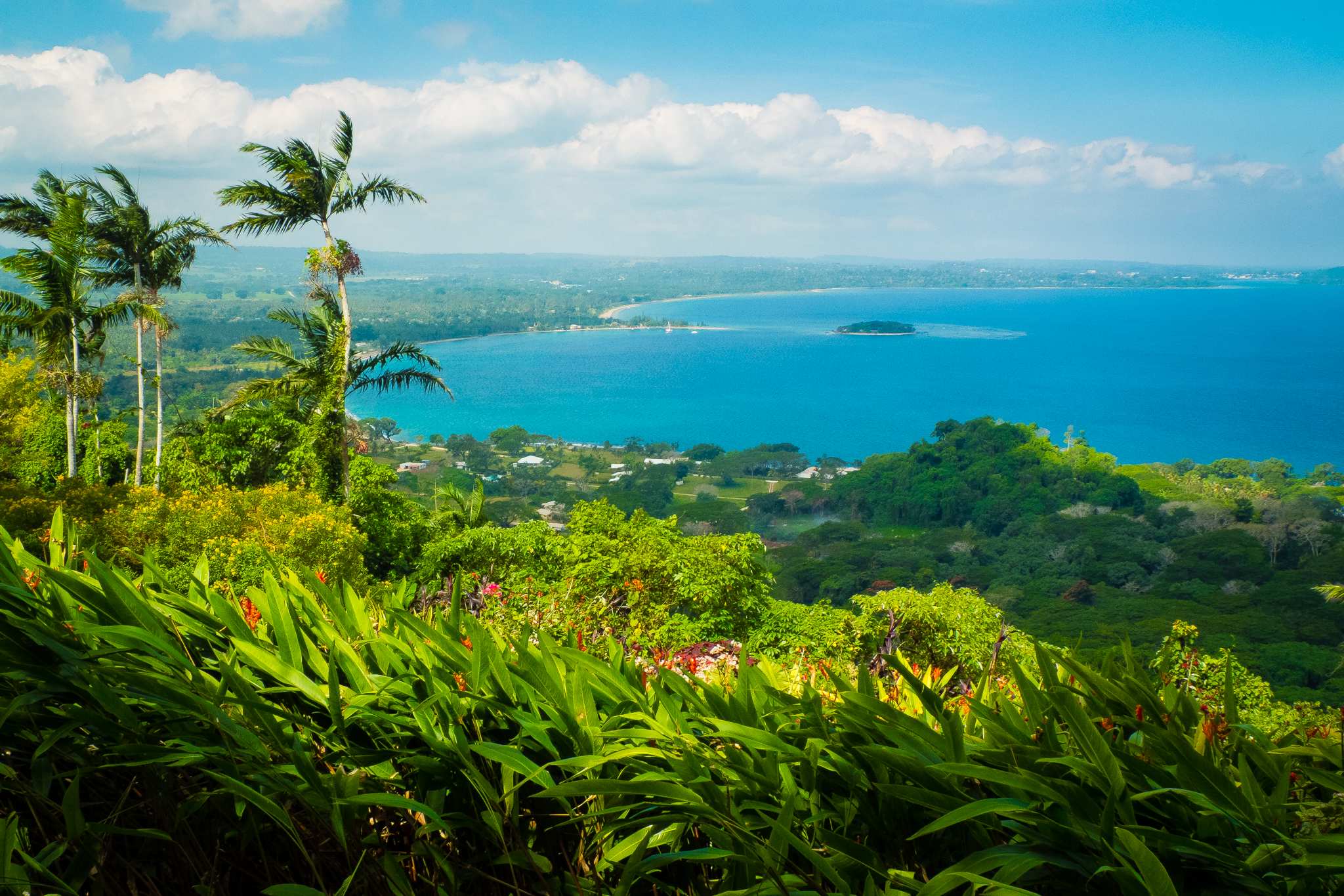 Nick Fogarty - ABC News