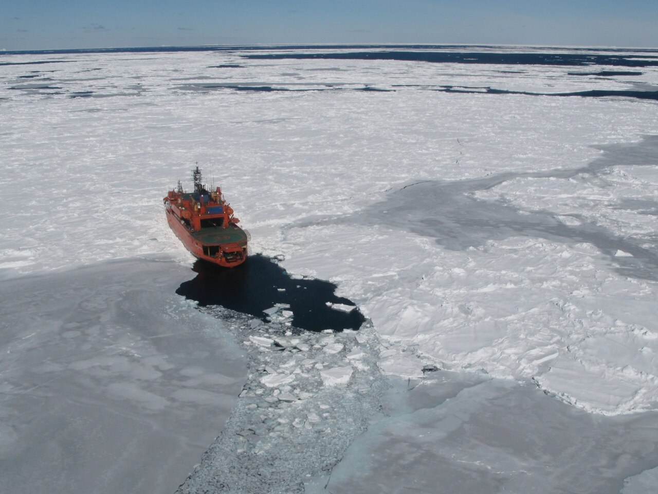 Sea ice record retreat has Antarctic experts worried for wildlife ...
