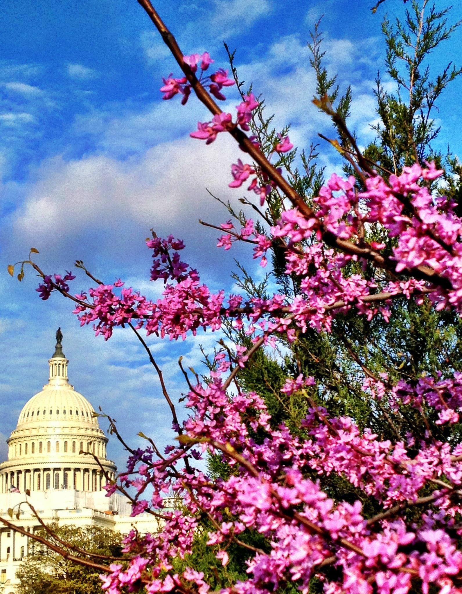 Down and out in Washington DC - ABC listen