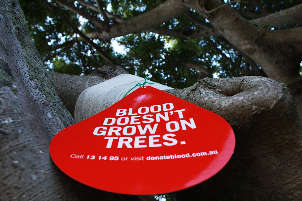 North Queensland blood donor marks impressive 302 milestone during ...