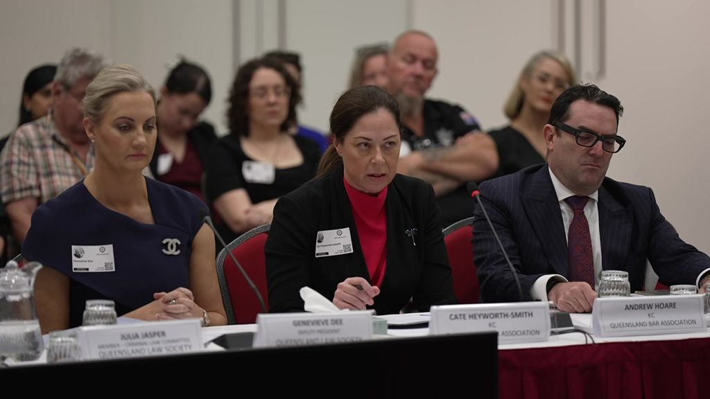 Catherine Heyworth-Smith KC giving evidence - ABC News