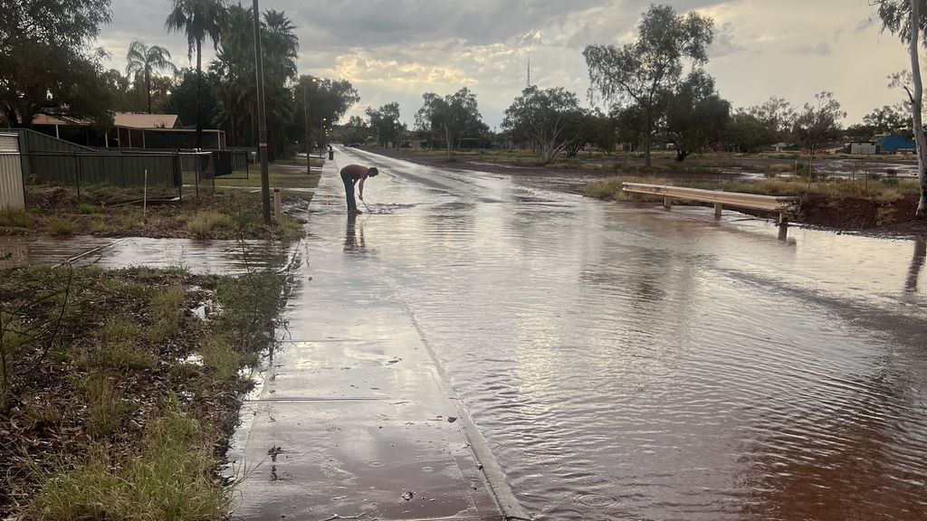Newman Storm - ABC News