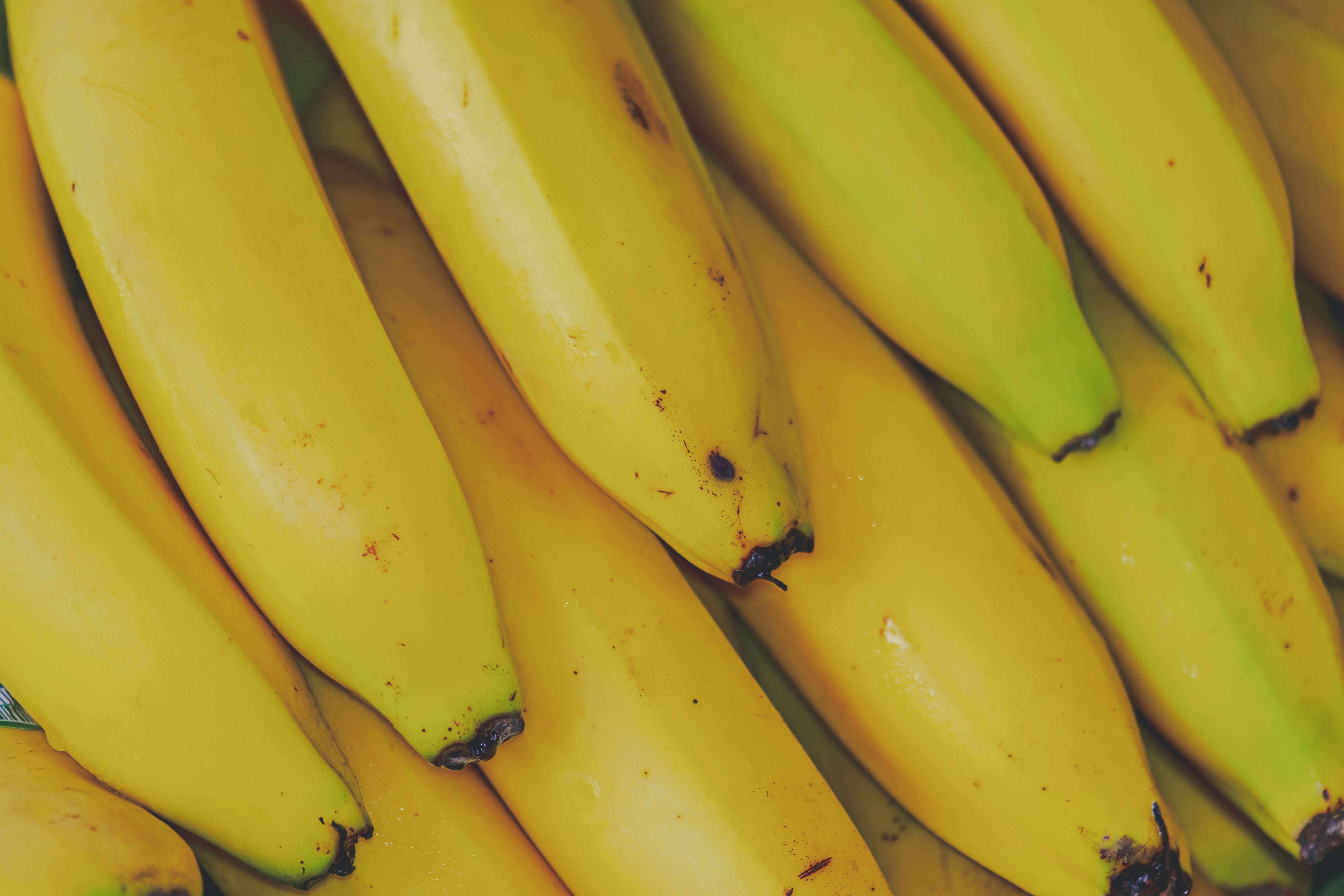 Meet the Queensland scientist who has developed a banana that will help ...