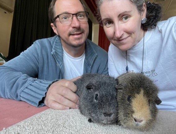 Dreamed of a pet wombat? This might be the next best thing - ABC Hobart