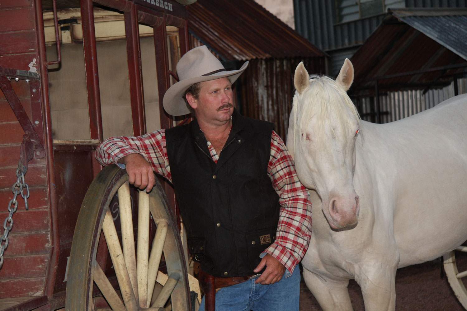 Outback grazier turns to tourism - ABC News