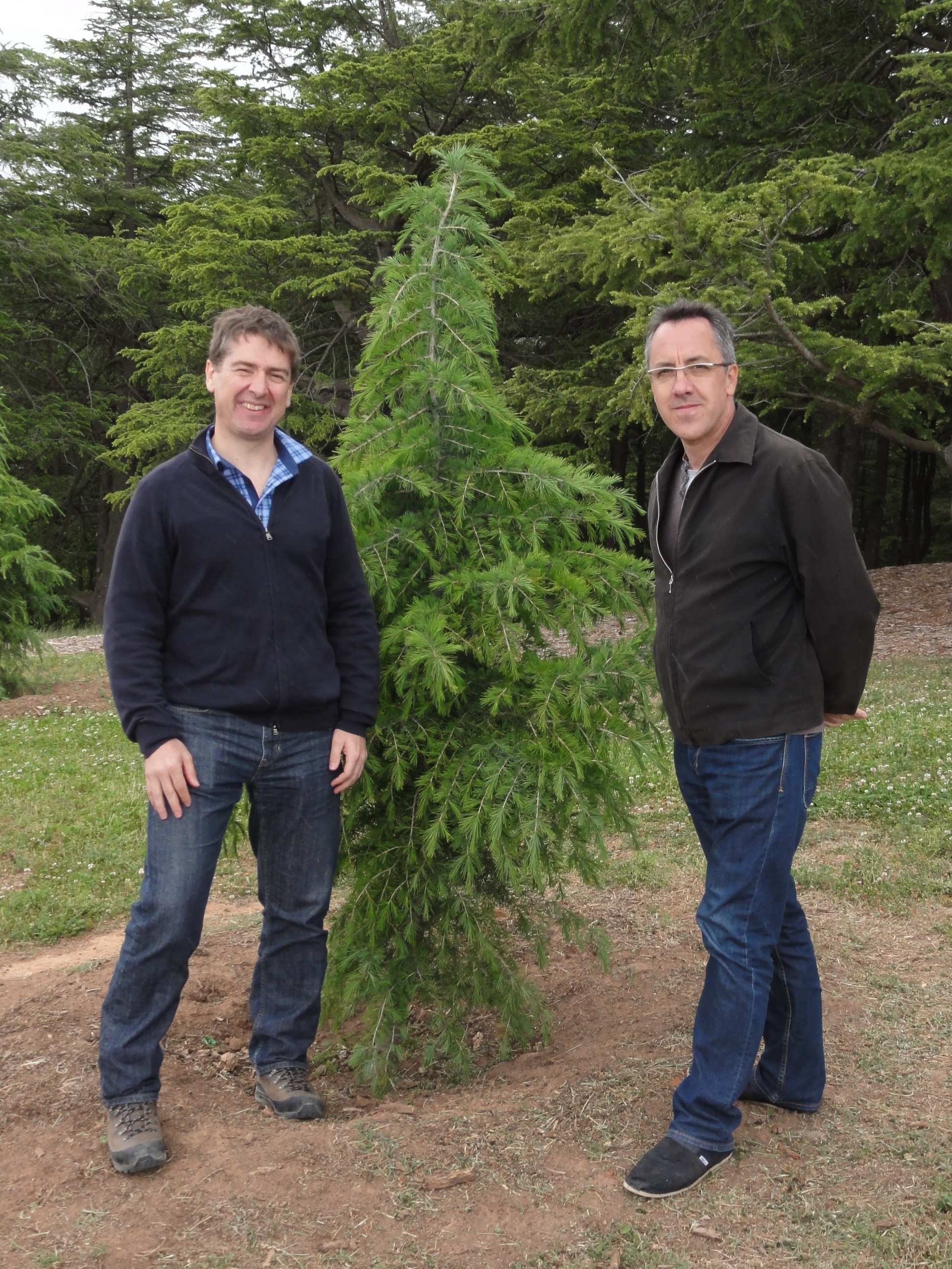 Arboretum - ABC Radio National