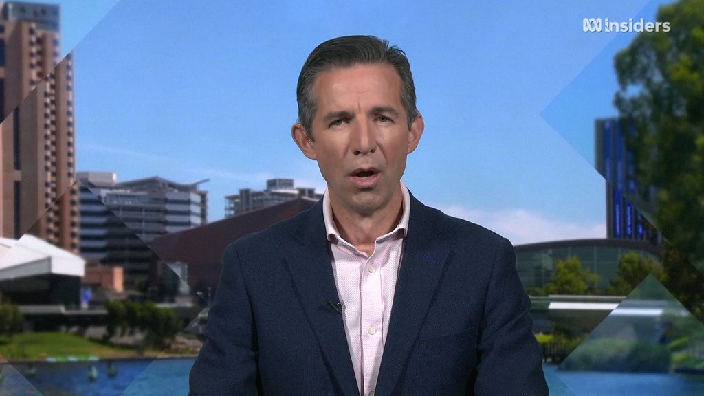 Simon Birmingham discusses party developments ahead of next election ...