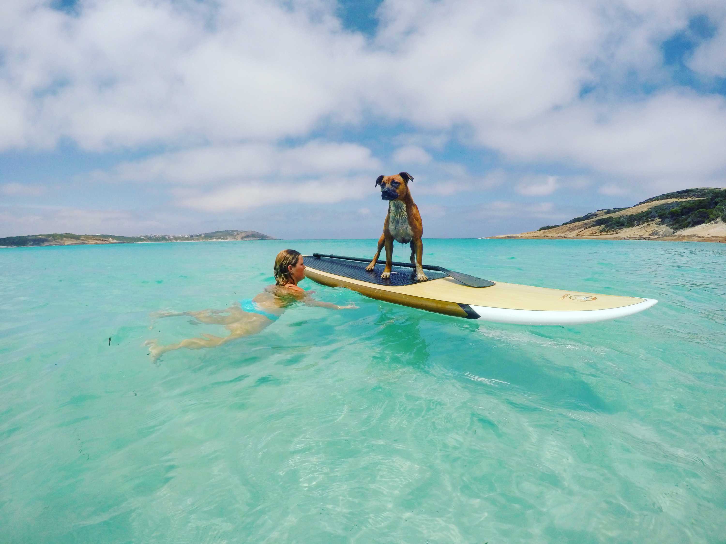 Esperance cinematographer films whales surprising local paddleboarders ...