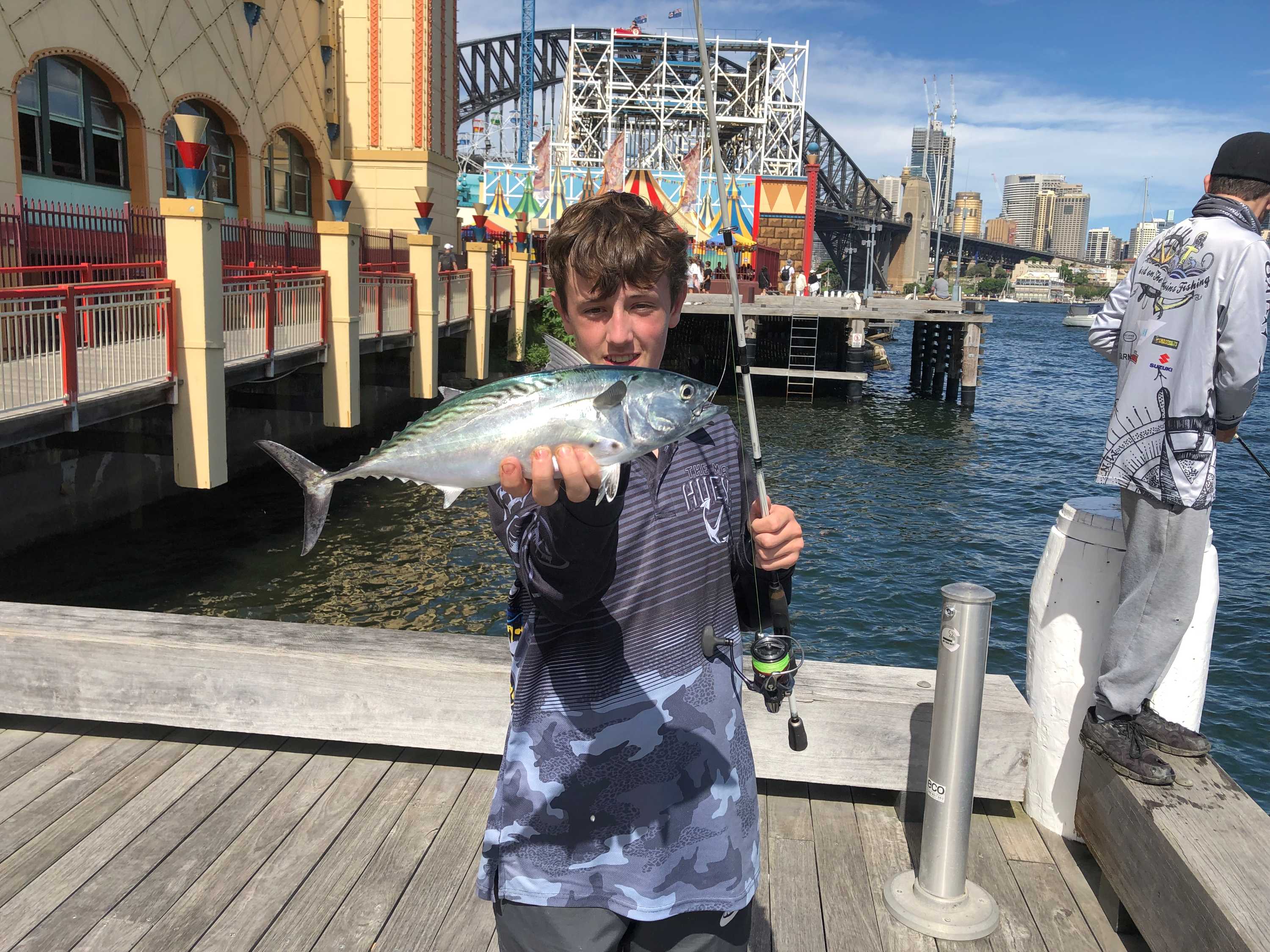 The Big Fish and Luna Tuna - ABC Radio