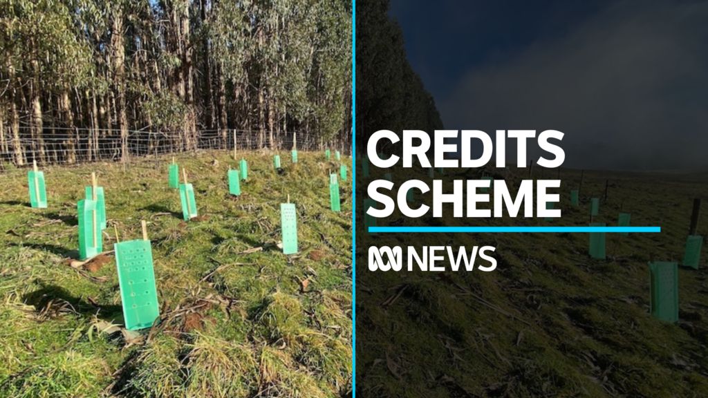 What are biodiversity credits and how do they work? - ABC News