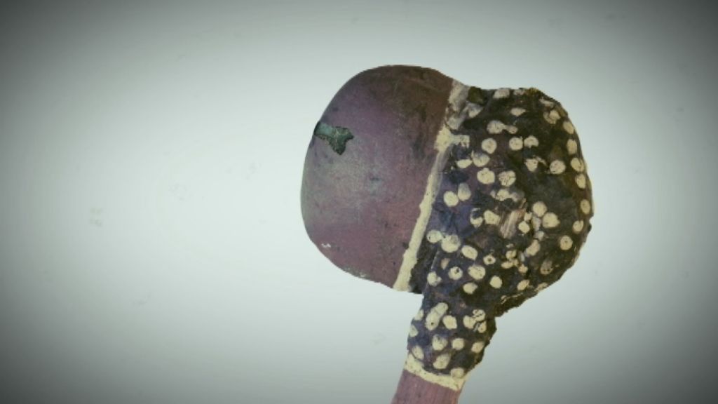 Fragment discovered from 50,000-year-old Australian axe - ABC News