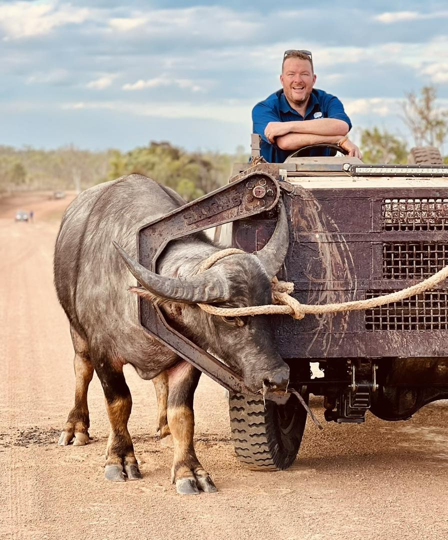 Mustering Top End buffalo for families in Cambodia - ABC listen