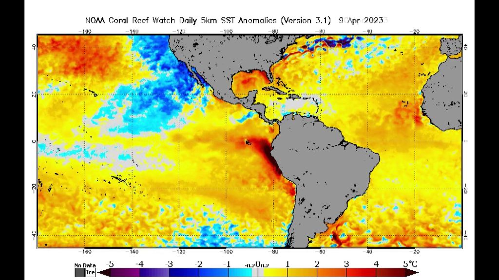 Warm water in the Pacific Ocean - ABC News