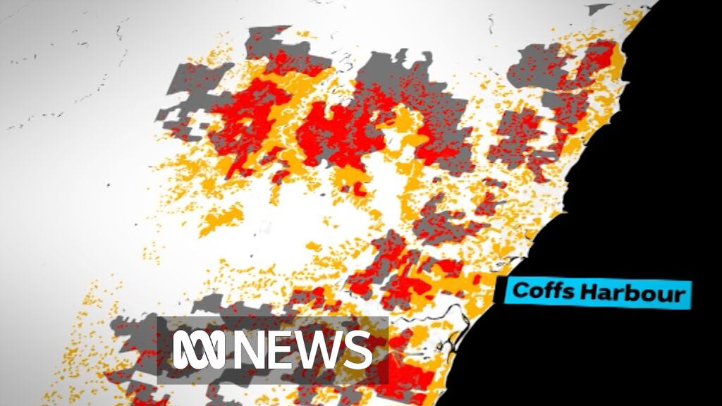 Climate change, rising sea levels putting Australia's koalas at risk ...