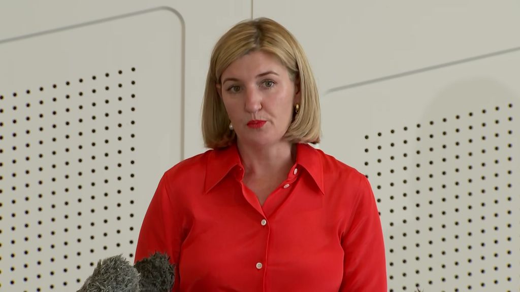 Shannon Fentiman discusses findings of inquiry into forensic DNA lab ...