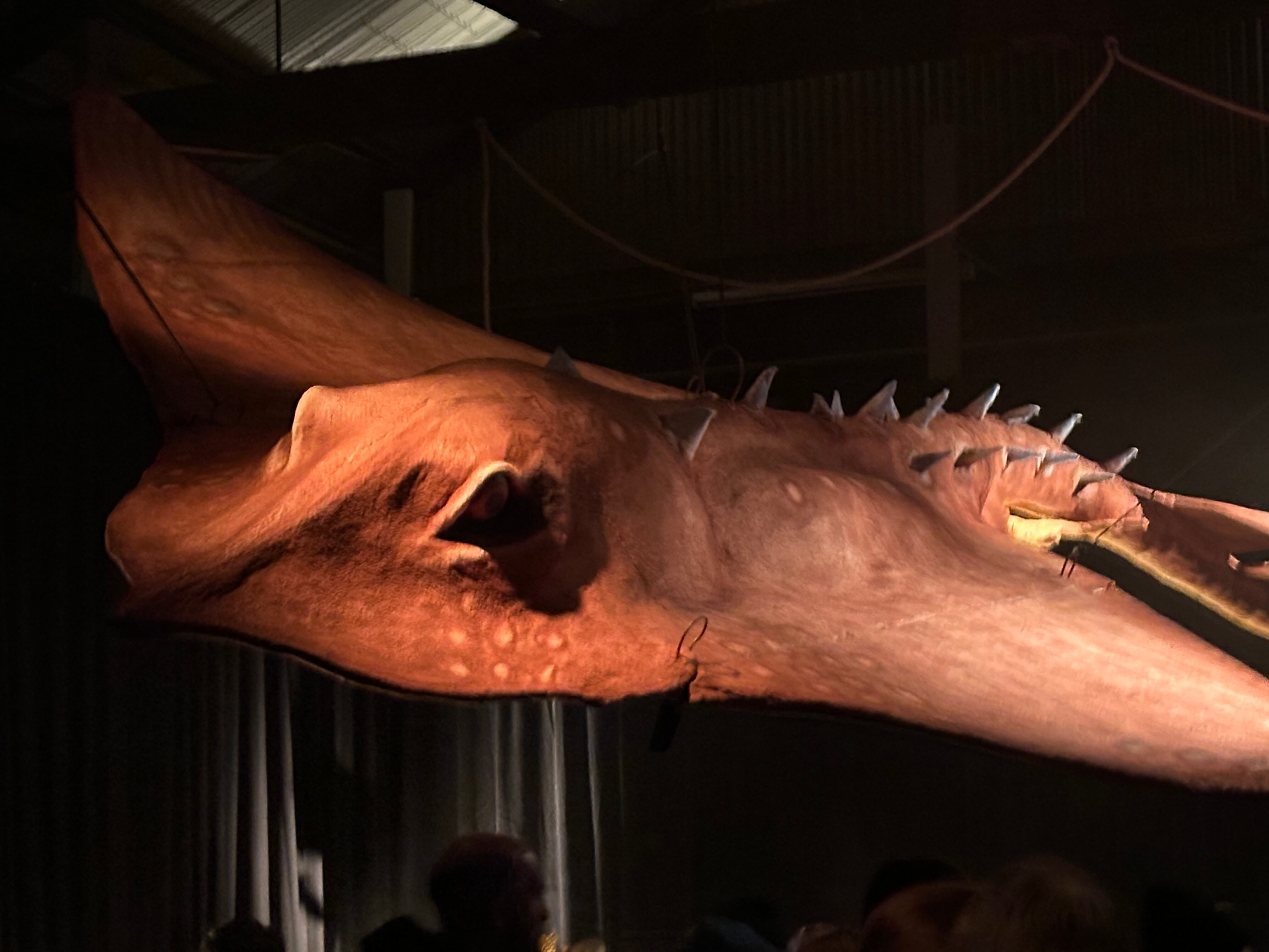 Dark Mofo's giant Maugean skate Ogoh-Ogoh lights up night as hundreds ...