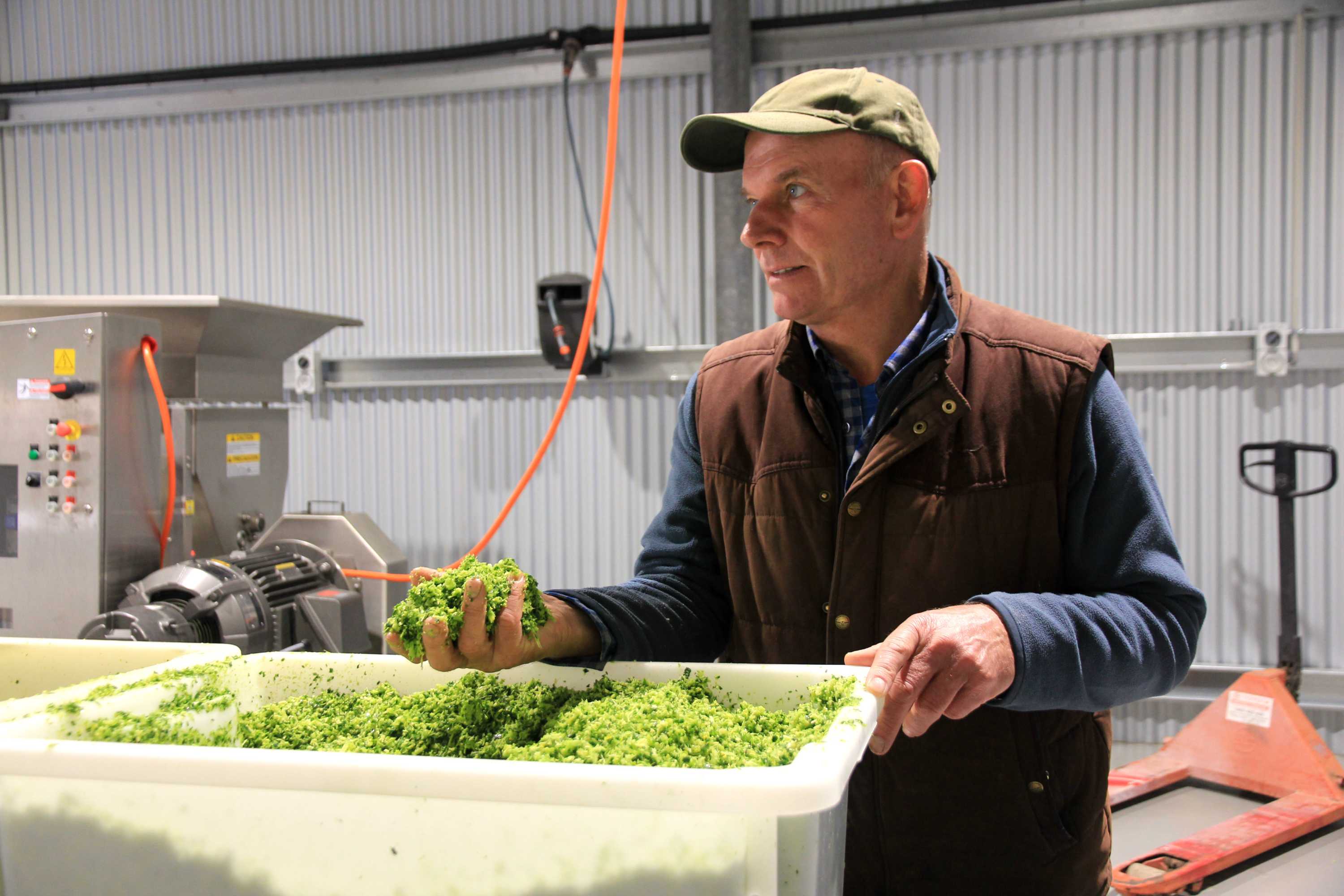 Growers turn vegies to powder to reduce waste and meet demand for ...