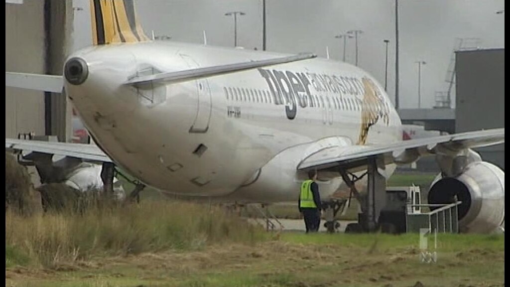 Tiger takes to the air - ABC listen