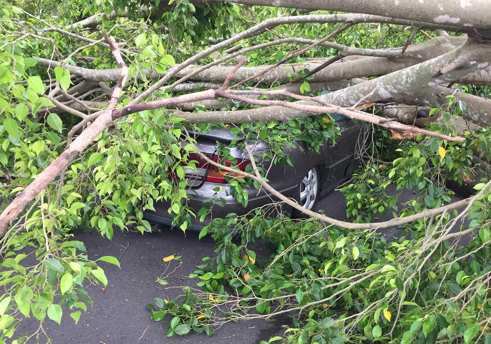Bundaberg storm clean-up continues but thousands of residents still ...
