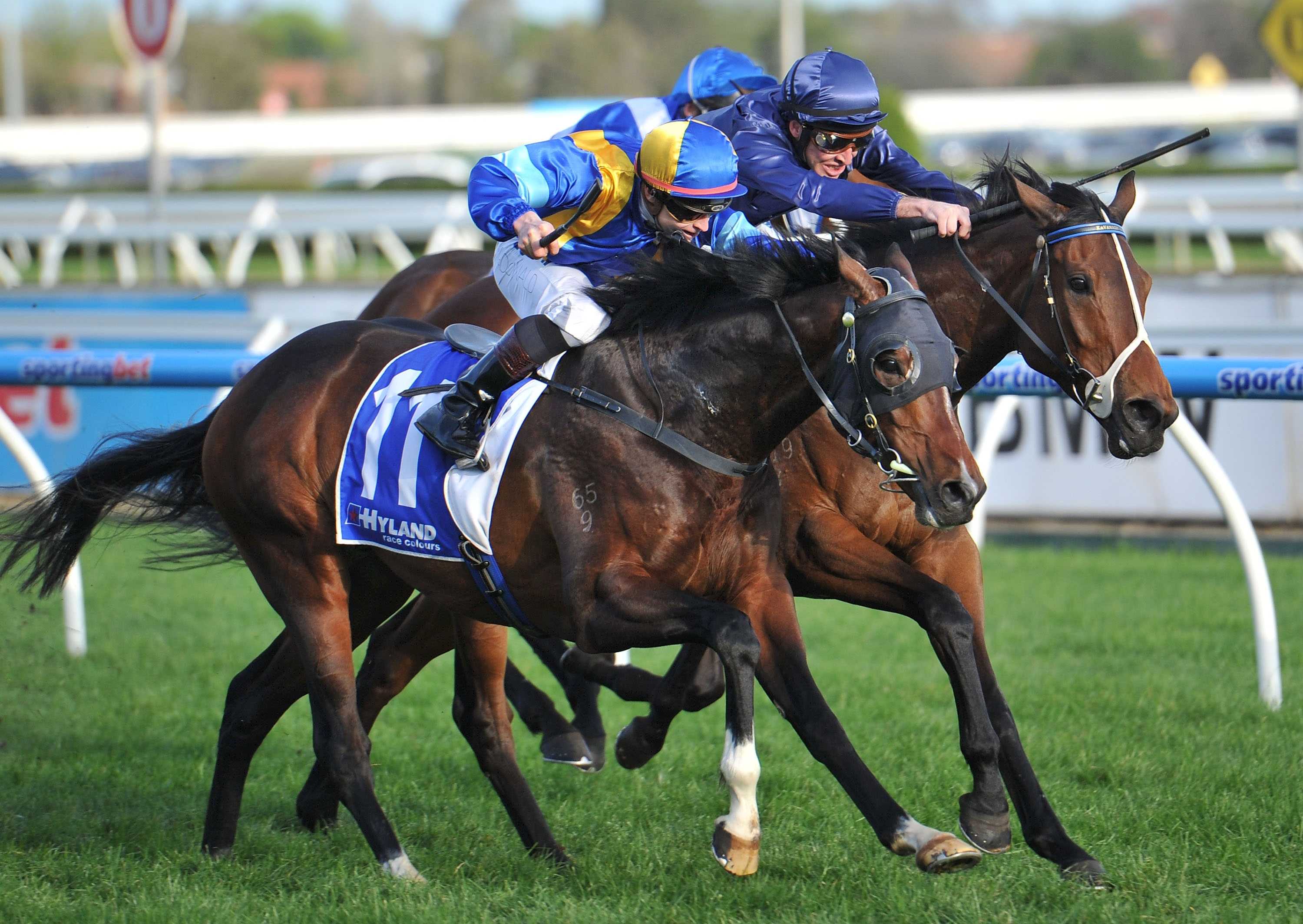 It's A Dundeel upsets Atlantic Jewel to win Underwood Stakes at ...