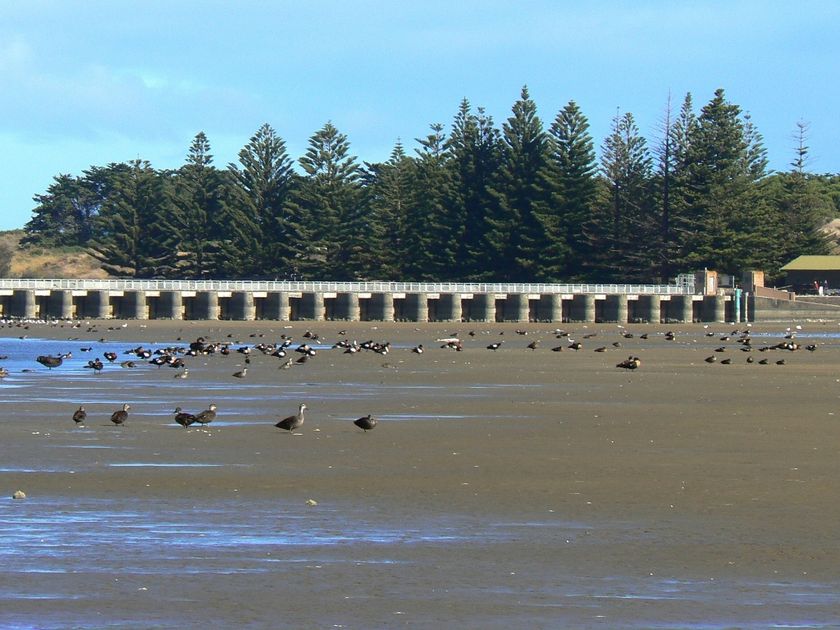 Goolwa barrage re-opening sought - ABC News