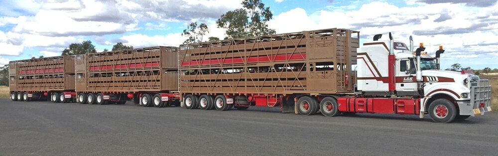 World first attempt to improve livestock transport trailer durability ...