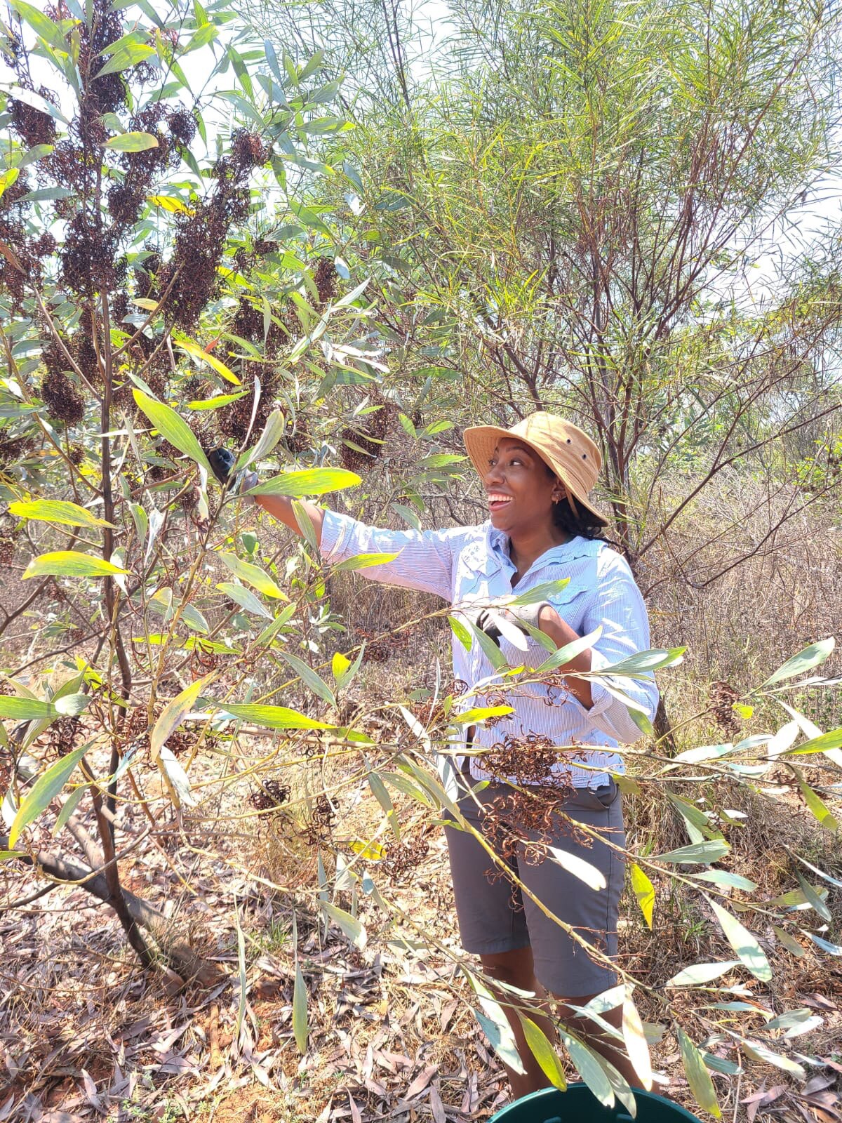 Screenwriter Azie Dungey hit the wall during the Hollywood writers ...
