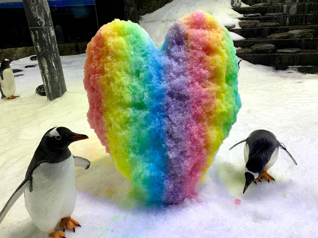 Sphen the penguin, known for same-sex love story, dies at Sydney ...