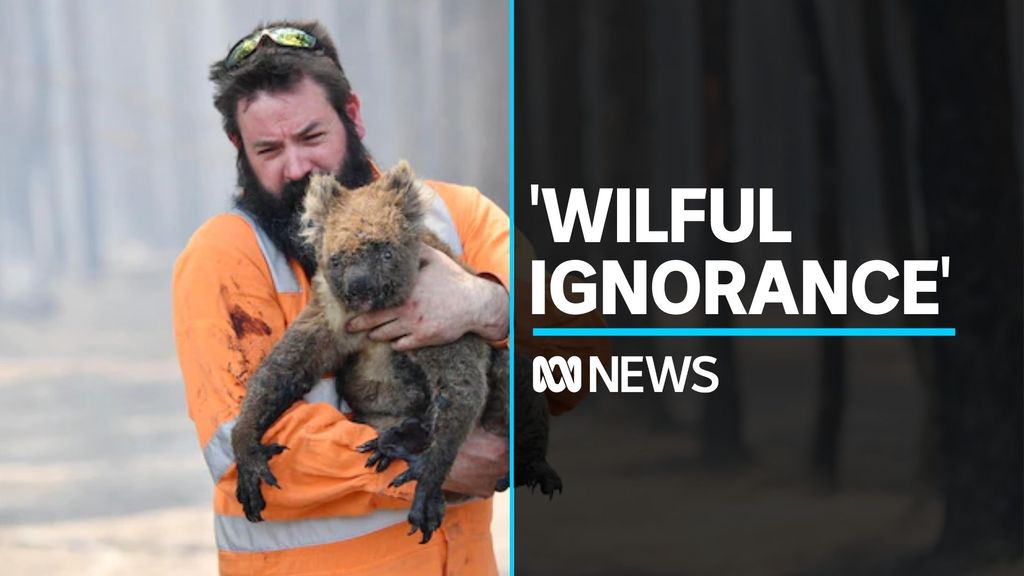 Australia's environment in a poor state: report - ABC News