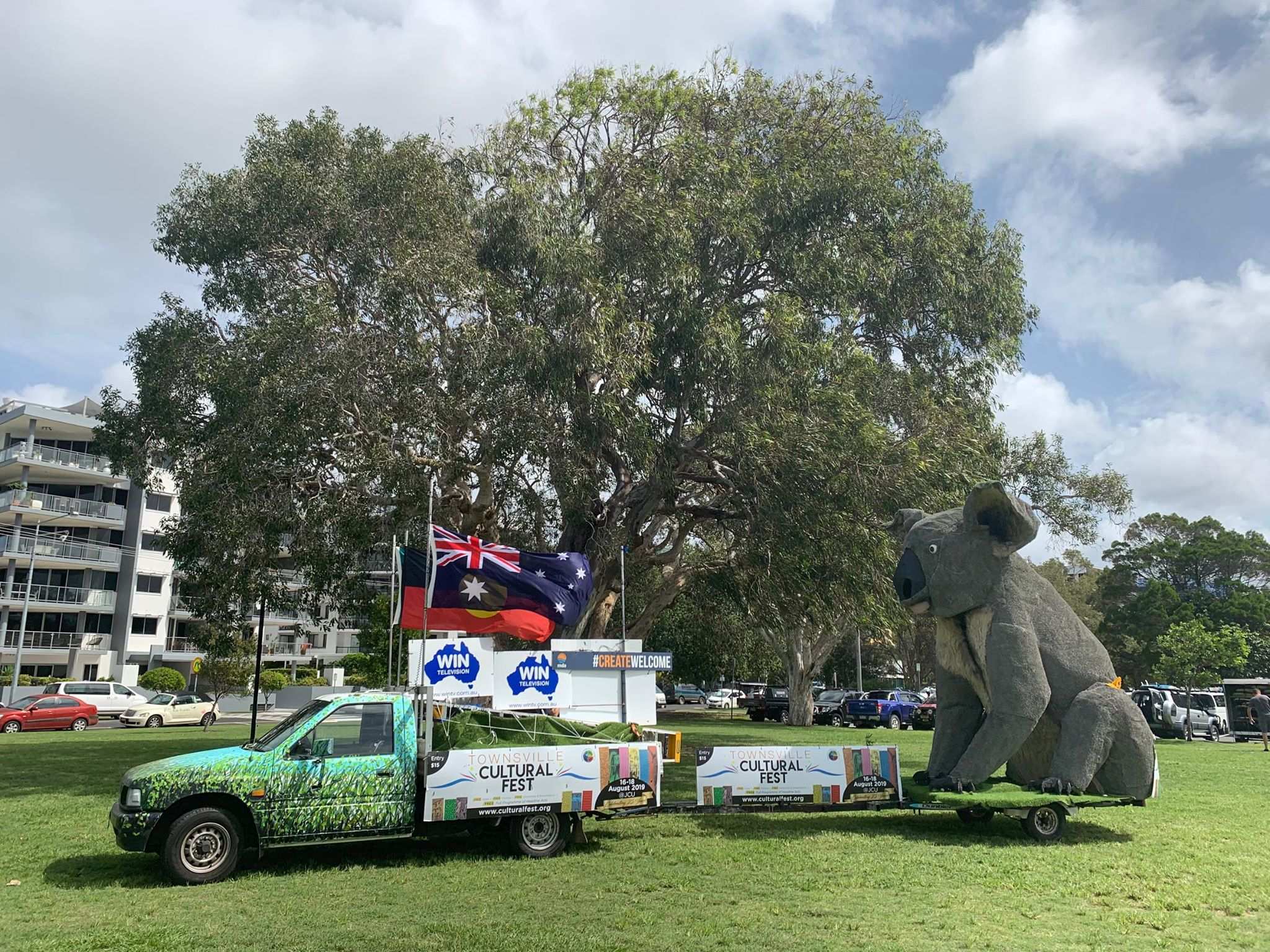 Big koala begins big journey up the Bruce - ABC listen