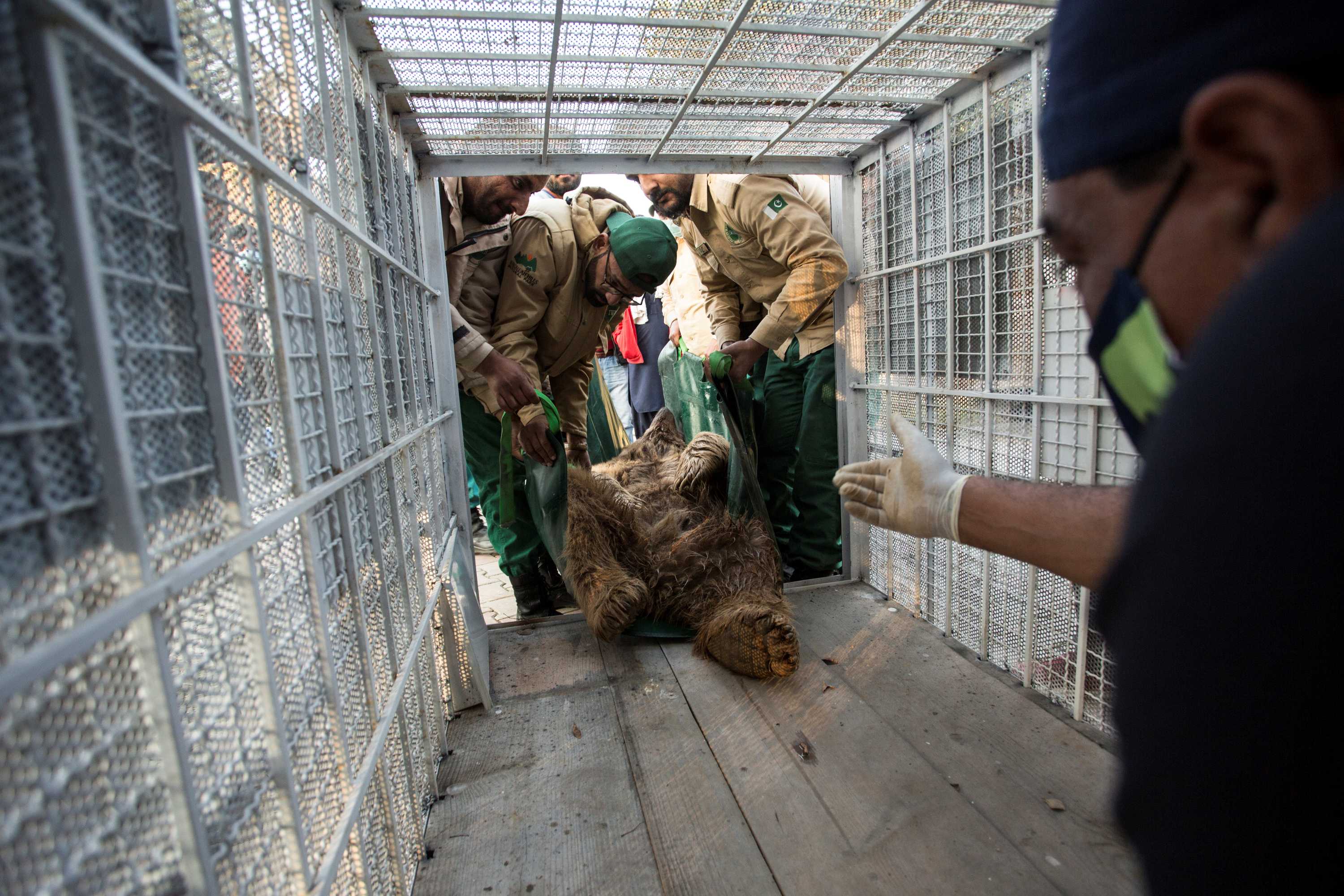 Last animals rescued from Pakistan zoo once home to 'world's loneliest ...