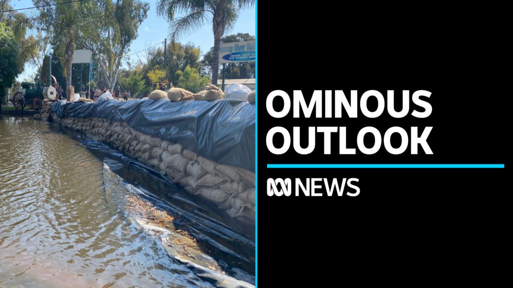 Murray River still rising ahead of expected 30-year flood at Moama ...