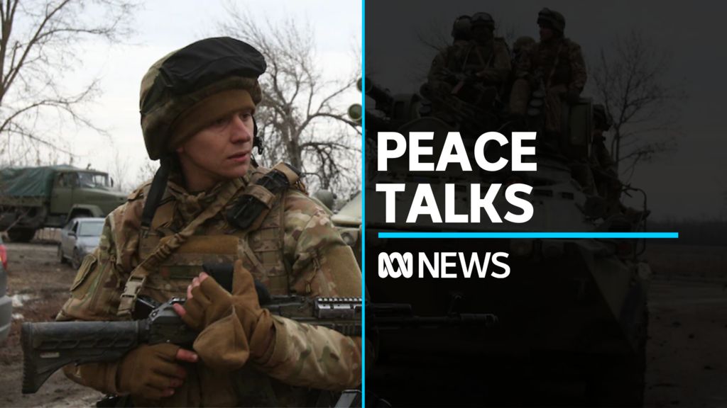 Russia and Ukraine hold peace talks in Turkey - ABC News