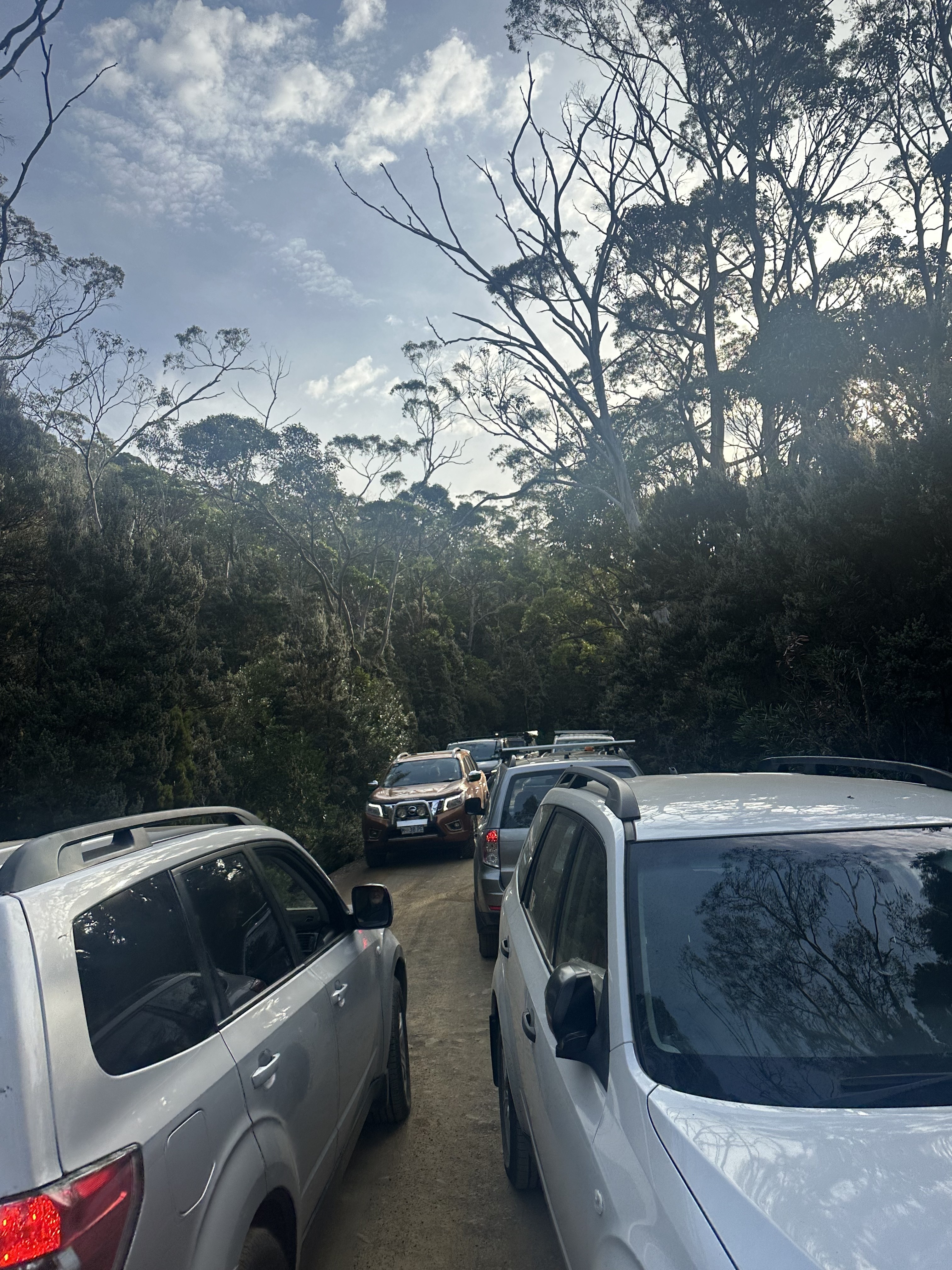 Condition of Lake Dobson Road questioned after hundreds head to Mount ...