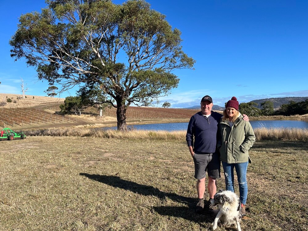 One of Tasmania's newest vineyards - ABC listen