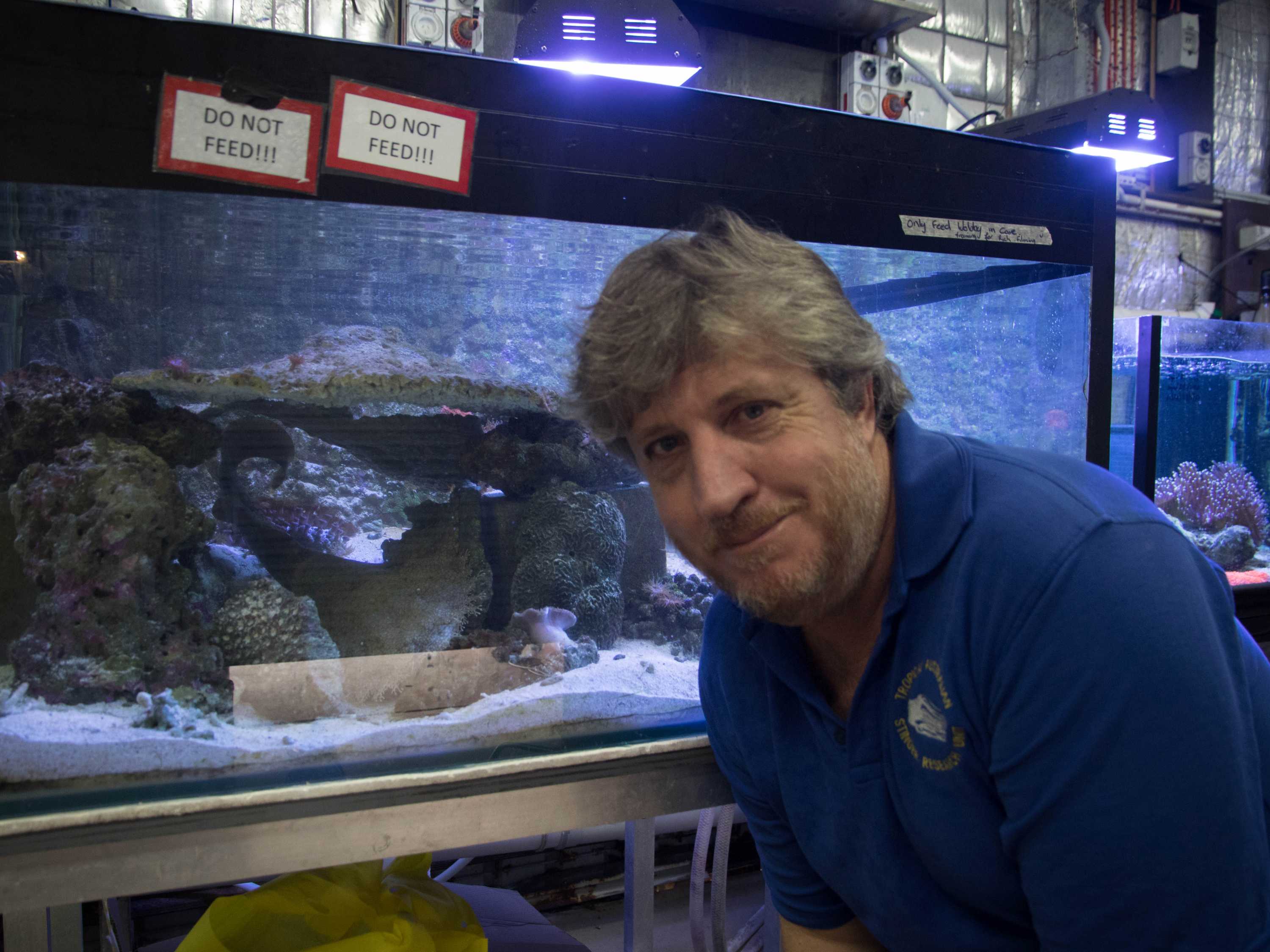 Marine biologists say some species of fish in aquariums are exhibiting ...